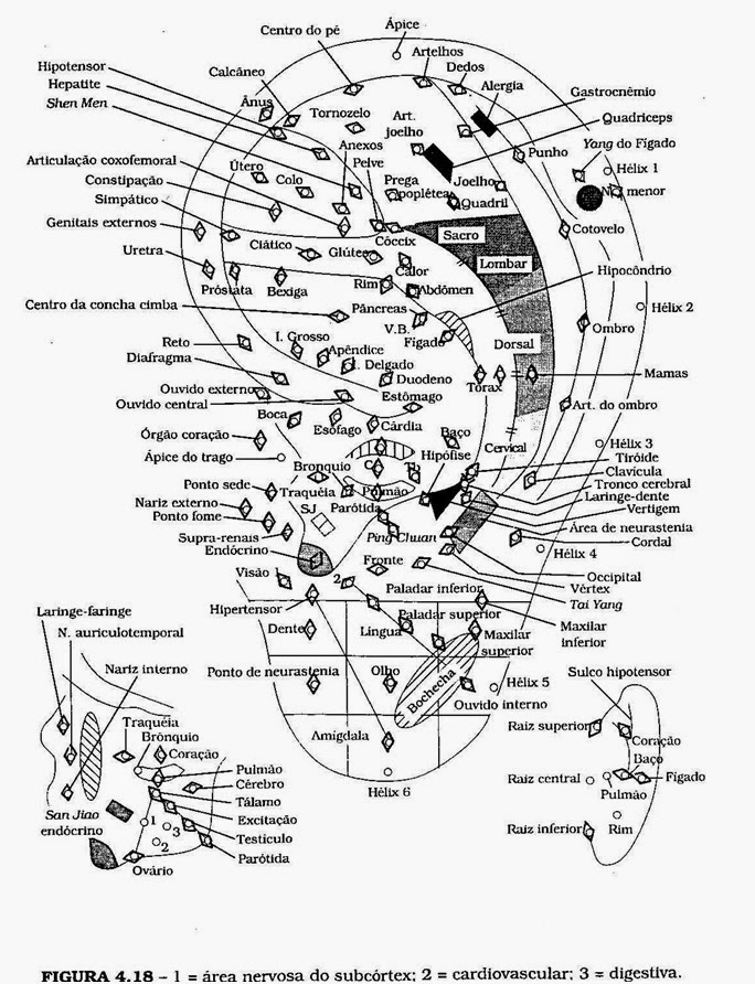 3- Funções dos pontos na antélice